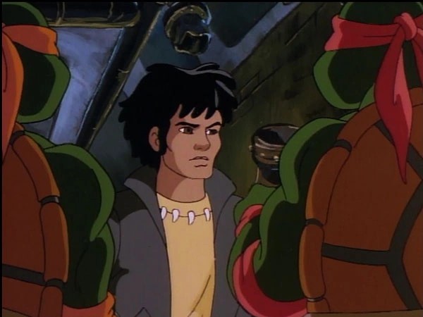 14+ Teenage Mutant Ninja Turtles Cartoon Characters